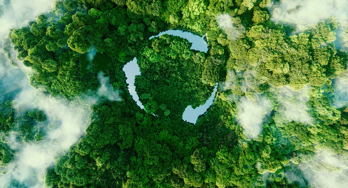 Shaw Lowers Reclamation Minimum Requirements - Coverings